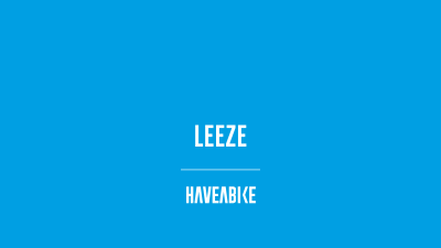 LEEZE Carbonlaufradsatz kaufen